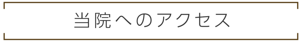 PPPD（持続性知覚性姿勢誘発めまい） | 整骨院ふじた・春日院